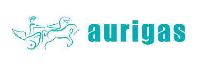 Home | Aurigas